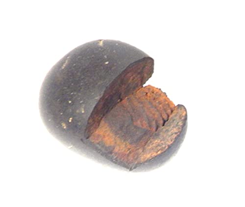 phoenix888 XUETZALCOATL Sacred Surya Maha Vishnu Buddha Dev Shaligram Nepal Kali Gandaki