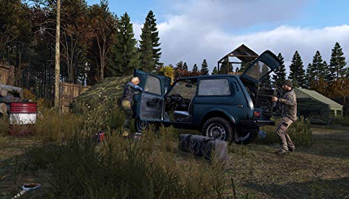 Dayz (PS4)