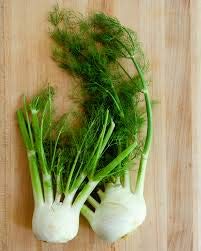 Gaea's Blessing Seeds - Fennel Seeds (2.0g) - Non-GMO Seeds with Easy to Follow Planting Instructions - Herb Seeds 85% Germination Rate