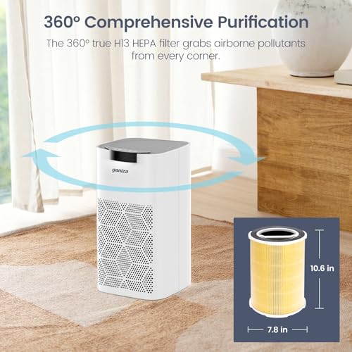 Ganiza G200S/G200 Air Purifier Replacement Filter for Pets, 3-in-1 True H13 HEPA and Activated Carbon Air Filter