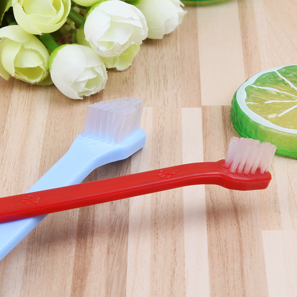 KSTZGTA Headed Dog Toothbrush Long Handle Design Effortless Brushing Teeth Toothbrush for Dog for Pet Care Pet Toothbrush Comfortable Toothbrush for Pets Easy Cleaning Tooths