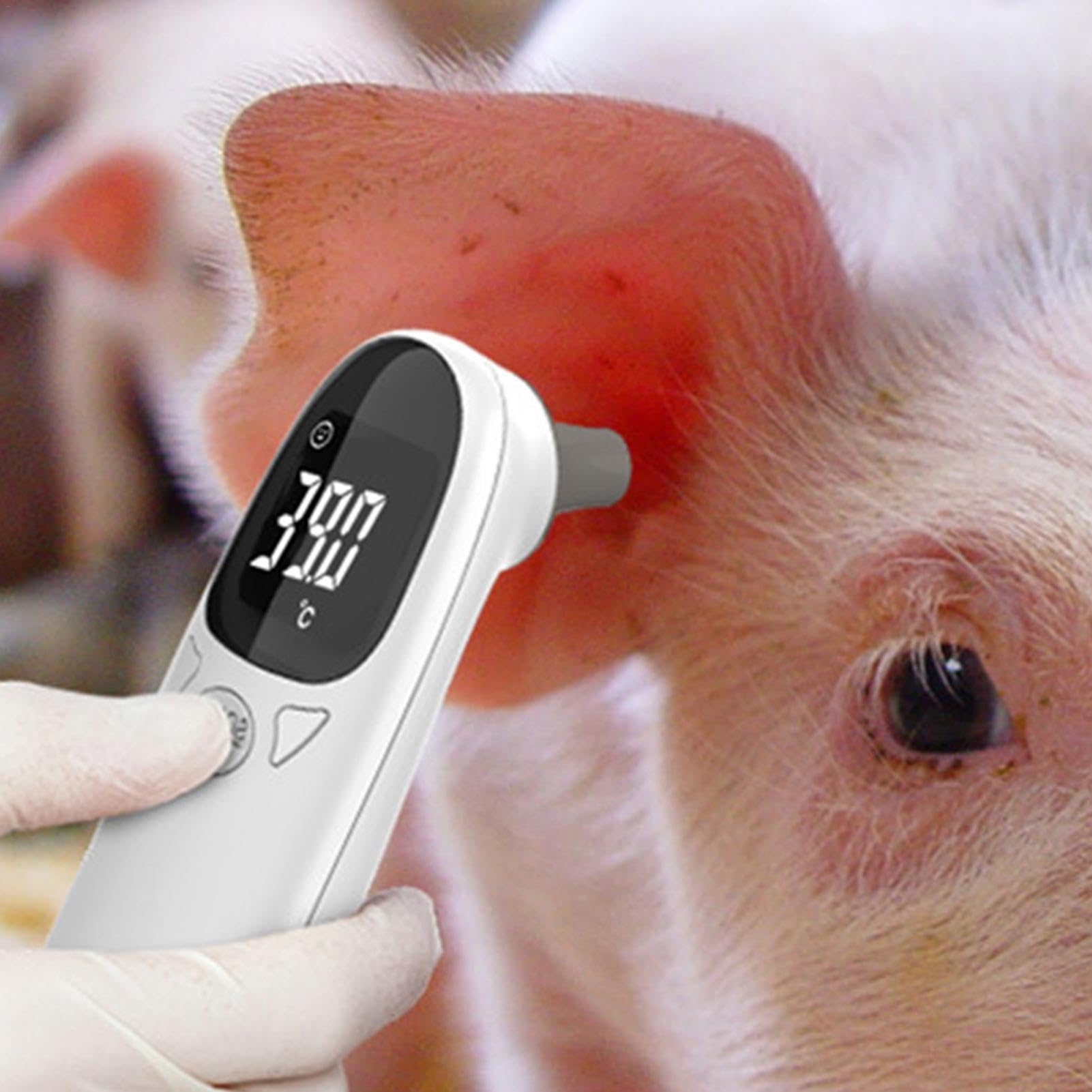 Generic Dog Ear Thermometers | Dog Tech Supplies | Accurate Fever Detection Device for Pet, Pet Supplies Veterinary Thermometers High Precision Double Mode Design, Cows Dog Ear Thermometers for Pigs