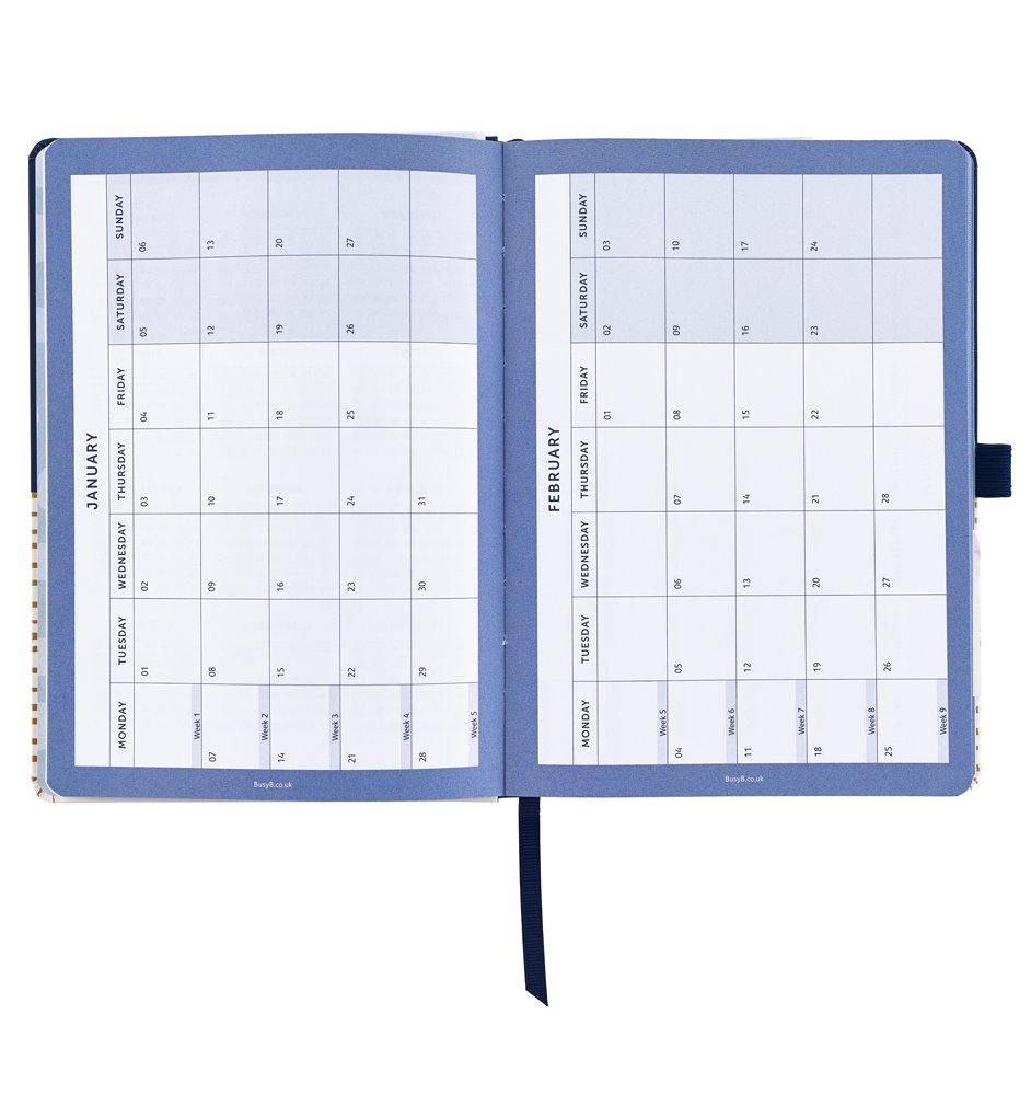 Busy B A5 2019 Stripe Design Busy Life Week to View Diary with Pockets and Dual Schedules