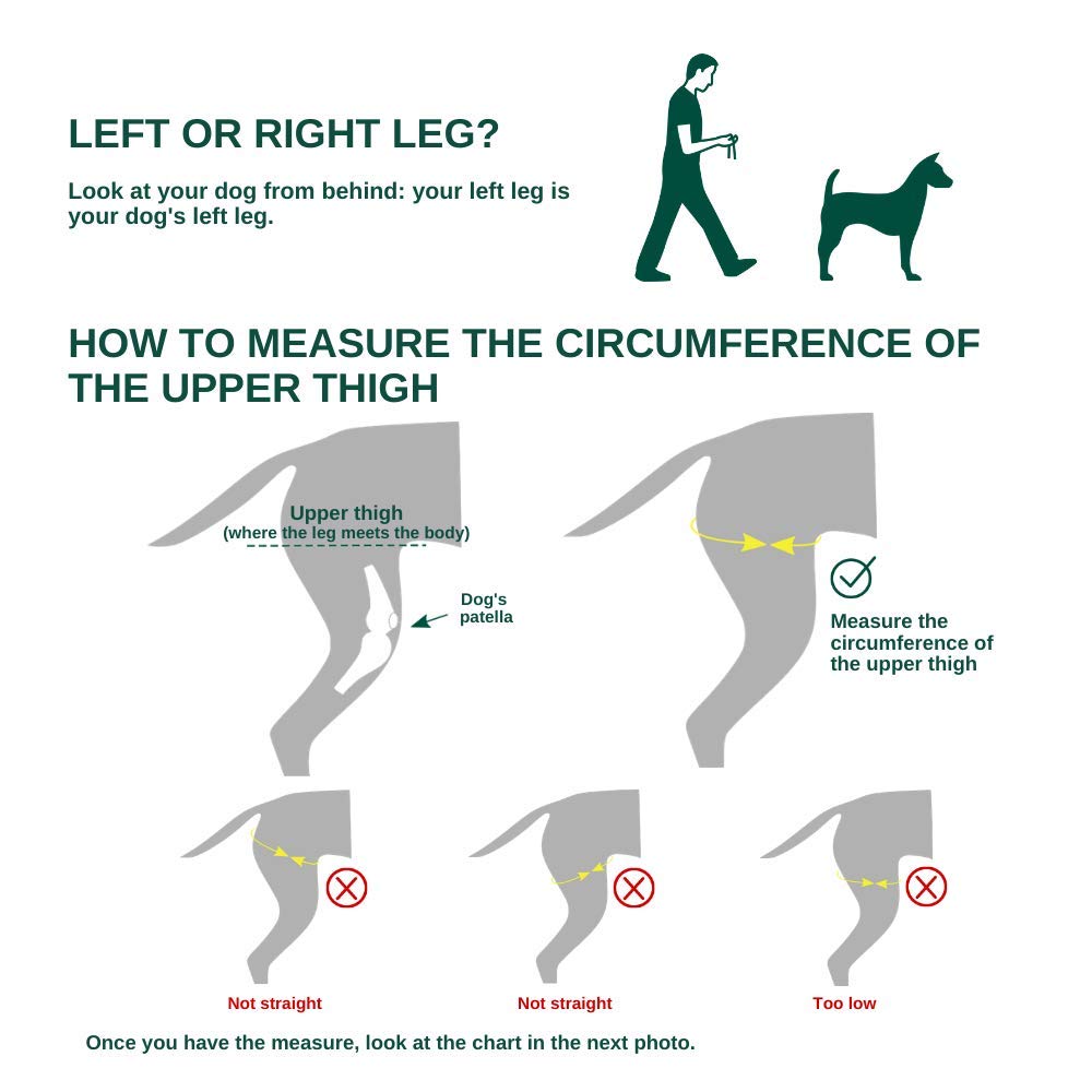 Ortocanis - Knee Brace for Dogs with Ligament Rupture and Patella Luxation, Size XXS, Left Leg