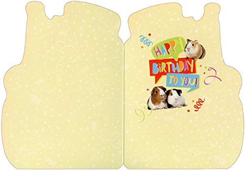 Paper House Guinea Pig in Birthday Hat Die Cut Foil Cute Birthday Card for Kids