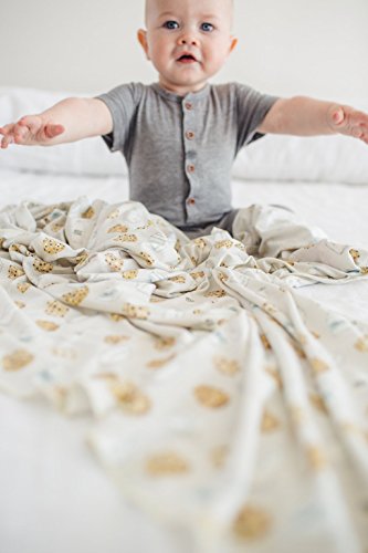 Copper Pearl Large Premium Knit Baby Swaddle Receiving Blanket Chip