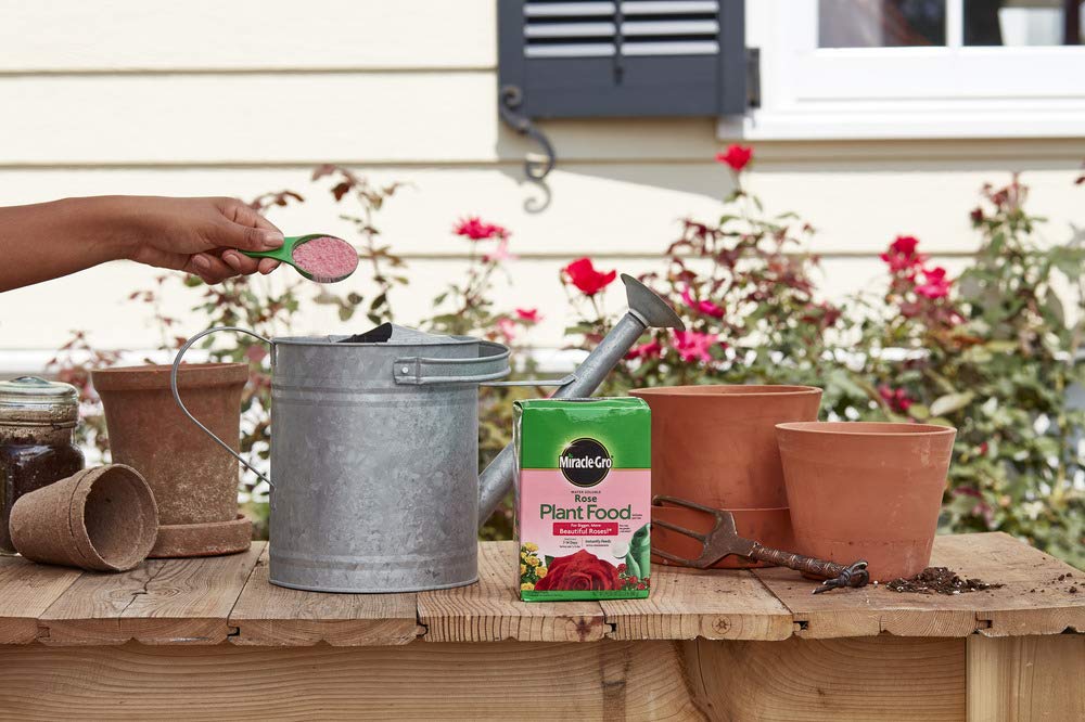 Rose Food 18-24-16, 1.5-Lb.