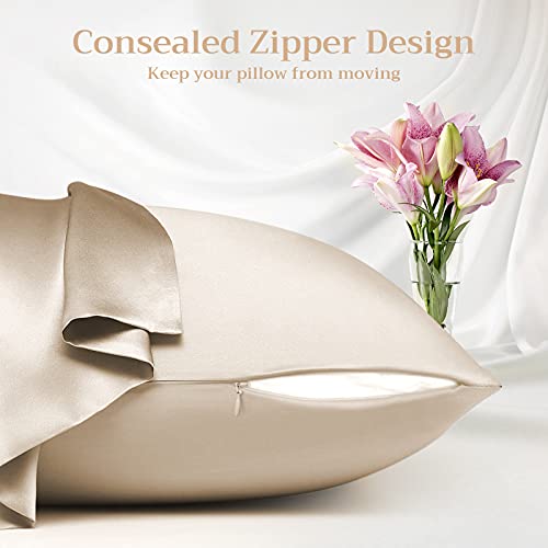 Lacette Silk Pillowcase for Hair and Skin, 22 Momme 6A Soft Silk Pillow Case with Hidden Zipper, Gift Box, 600 Thread Count, Double Side Silk/Wood Pulp Fiber, 1PC (Champagne, Queen Size 20"x30")…