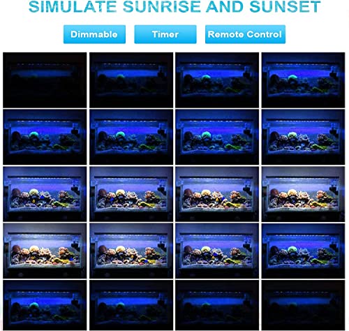 Relassy 300W Large Aquarium Light, Fish Tank Light with 676 LED and Remote Control, Adjustable Brightness Sunrise Sunset Mode and 24H Timer Function, Dimmable Reef Aquarium Lights for Fish Tank