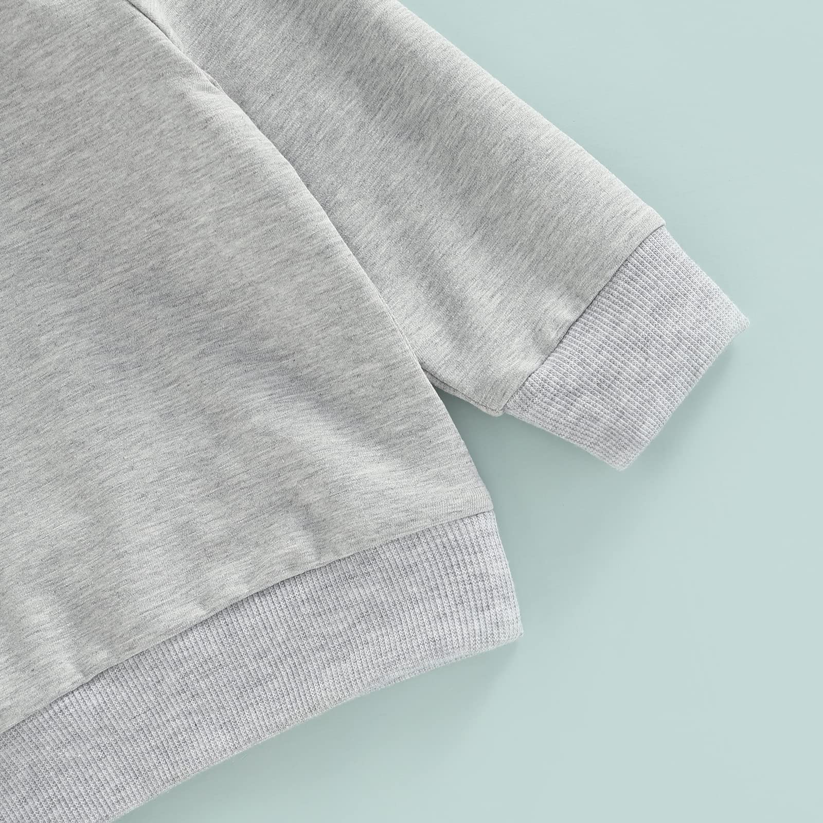 Endorothii Toddler Baby Boy Long Sleeve Solid Hoodies Sweatshirt Pants Outfit Set 2 Piece Sweatsuit Fall Clothes (Grey, 12-18 Months)