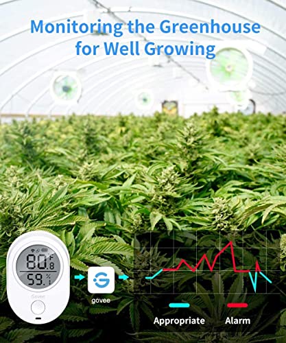 Govee WiFi Thermometer Hygrometer H5051, Bluetooth Indoor Temperature Humidity Monitor with App Notification Alert, Smart Humidity Sensor for Greenhouse Wine Cellar, 2 Years Free Data Storage Export