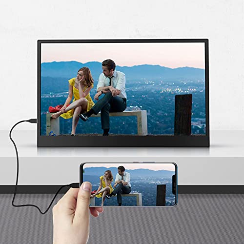Frogued 15.6 inch 1920x1080 HDMI-Compatible Type-c Metal IPS Display Monitor for Phone Game Console