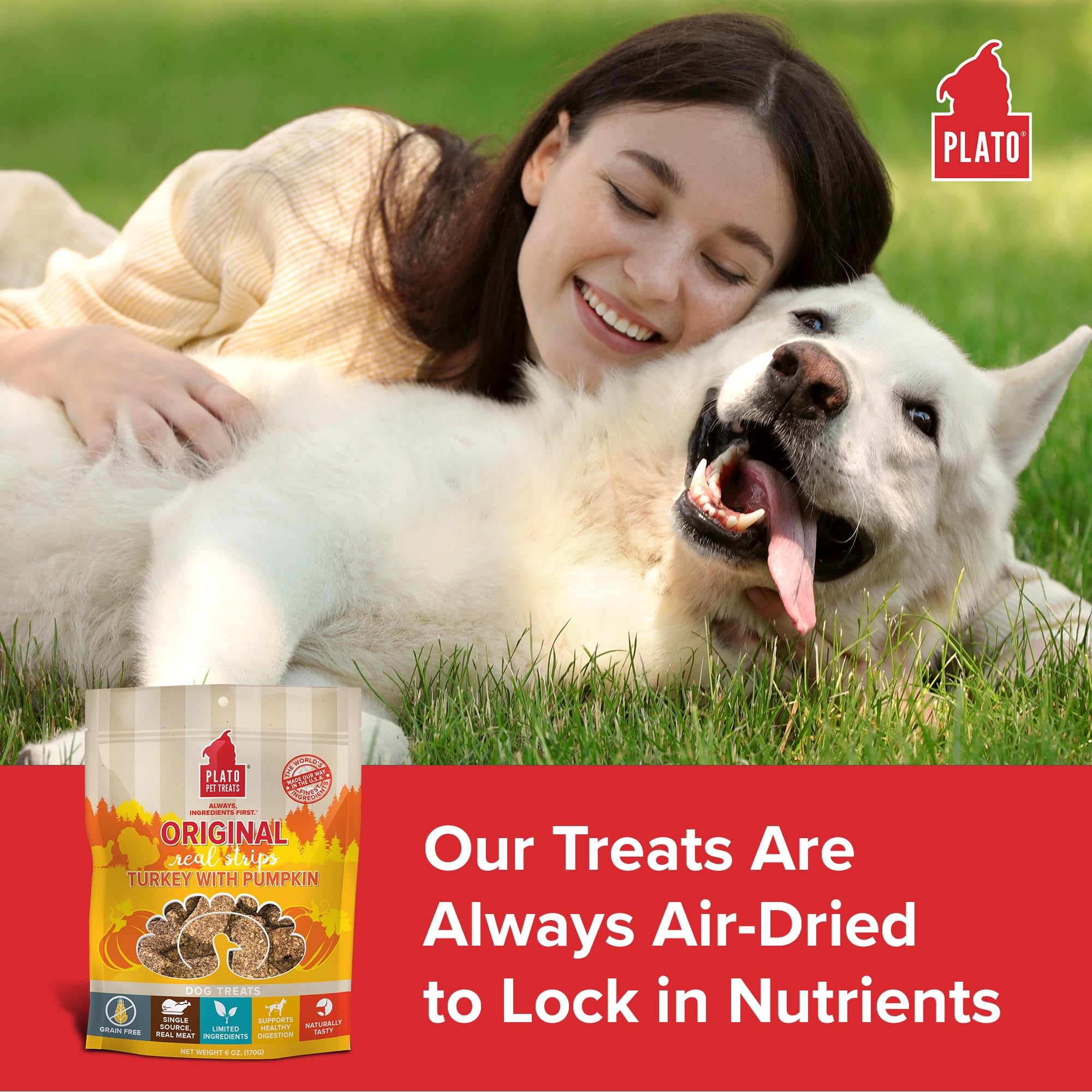 PLATO Turkey Real Strips Natural Dog Treats - Real Meat - Air Dried - Made in the USA - Turkey & Pumpkin, 3 ounces