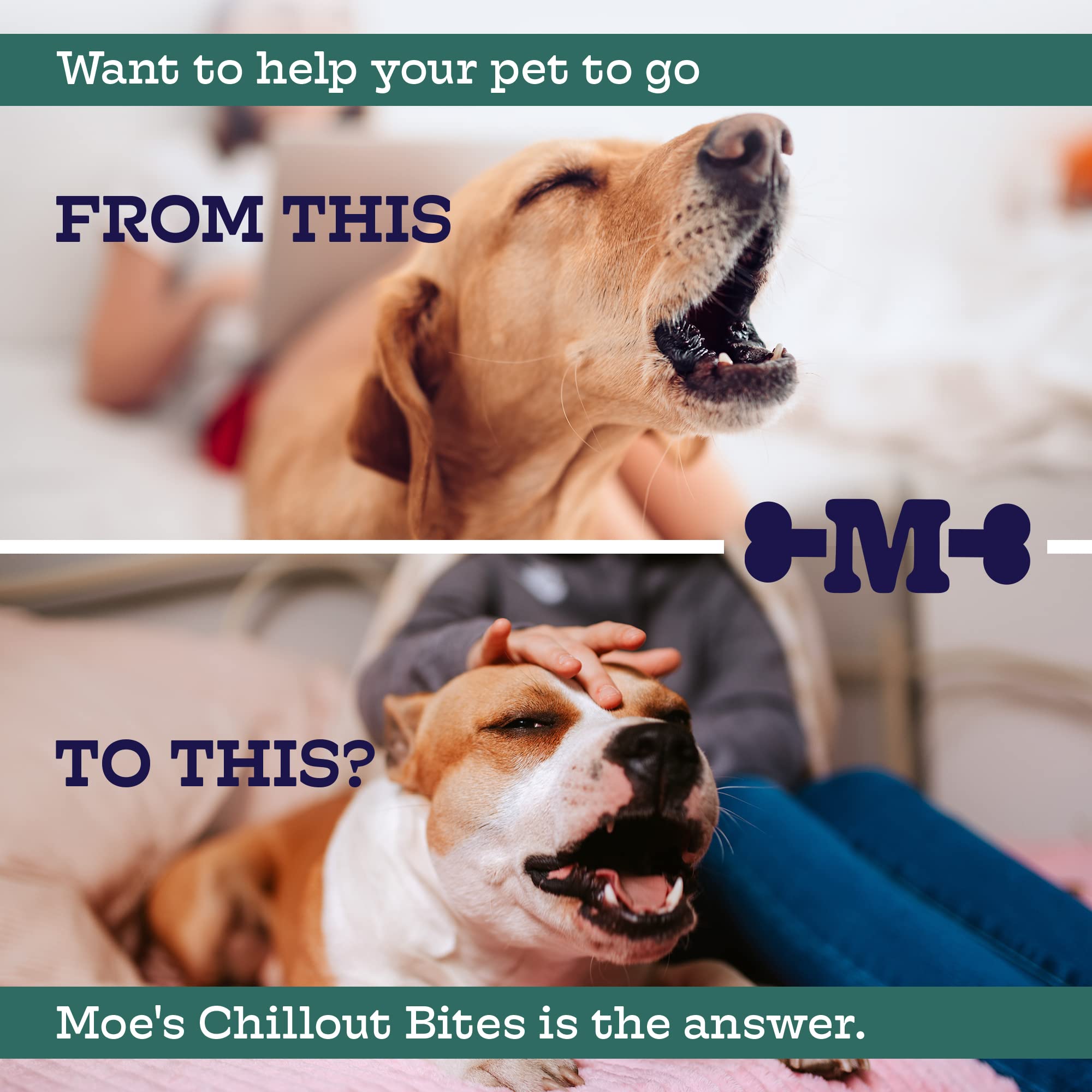 Moe’s Hemp Calming Chews for Dogs - Helps Aid with Storms, Fireworks, Chewing, Barking, Travel, Stress, Anxiety & Separation Anxiety - Tryptophan + Chamomile - Made in The USA - (Chicken)