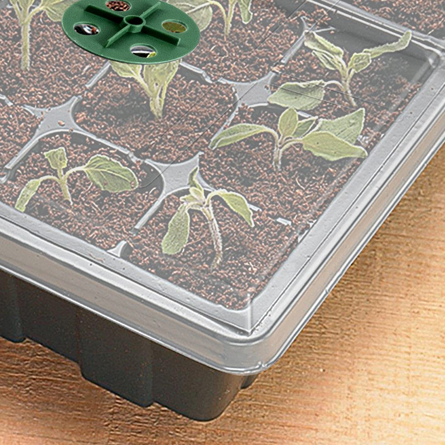 Buzzlett 1020 Clear Plastic Planter Dome humidifying and Insulating for Seedling Microgreens Herbs and More, 6-Pack