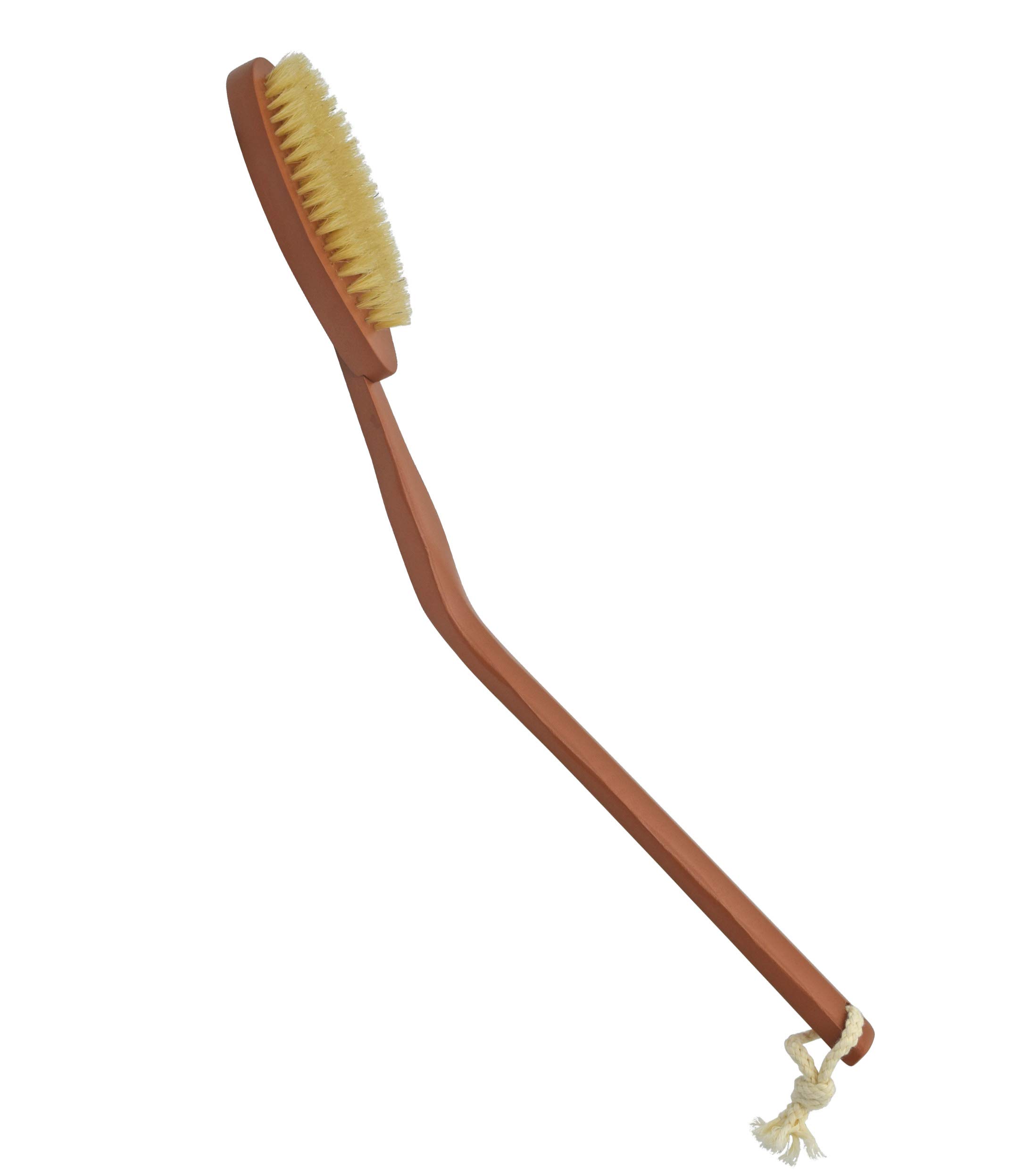 UTRAX 20'' Long Detachable Wooden Bath Brush with Curved Reach Handle Hanging Wood Shower Brush with Boar-Bristle