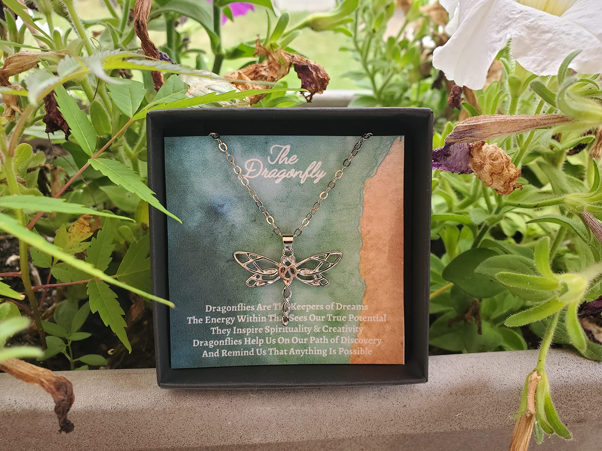 Dragonfly Necklace in Gift Box with Message Card - Silver Dragonfly Pendant Jewelry is the Perfect Keepsake Gift for Love and Inspiration