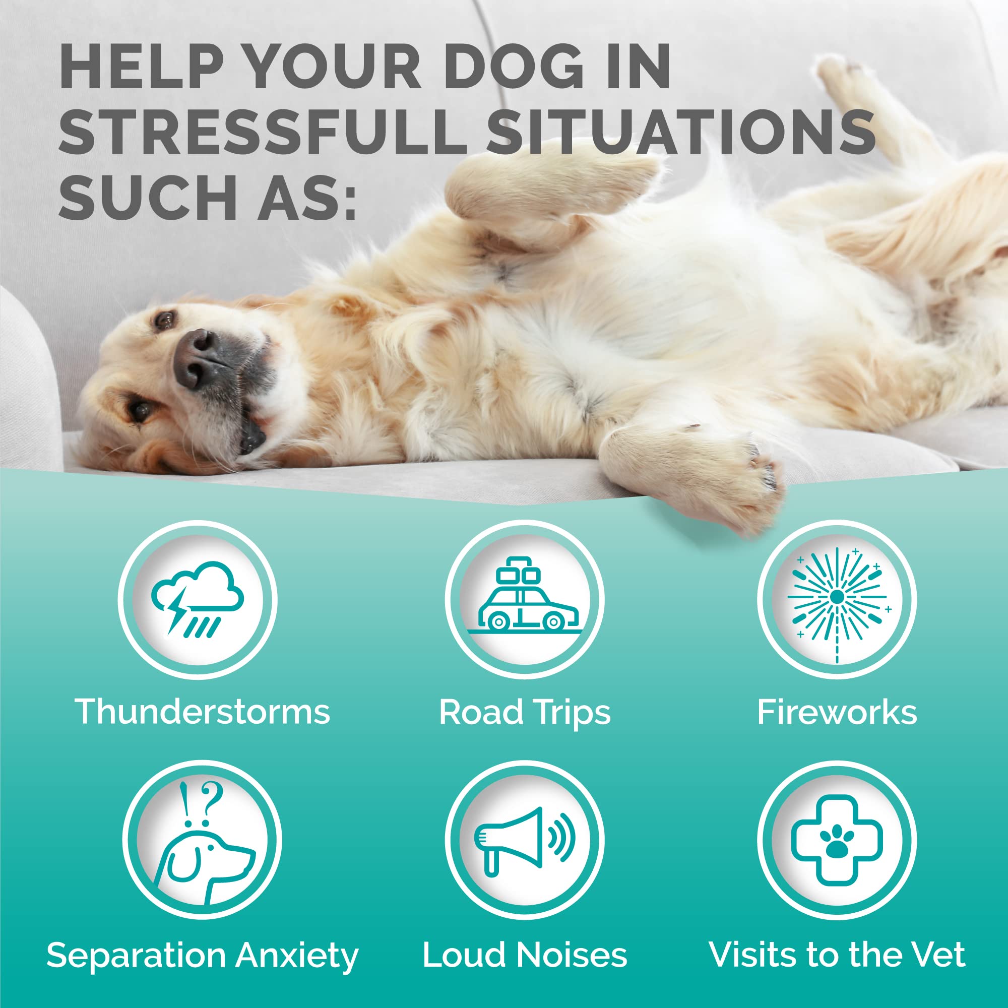 PREMIUM CARE Hemp Calming Chews for Dogs, Made in USA - Helps with Dog Anxiety, Separation, Barking, Stress Relief, Thunderstorms and More, 9.3 oz (264g), 120 Count