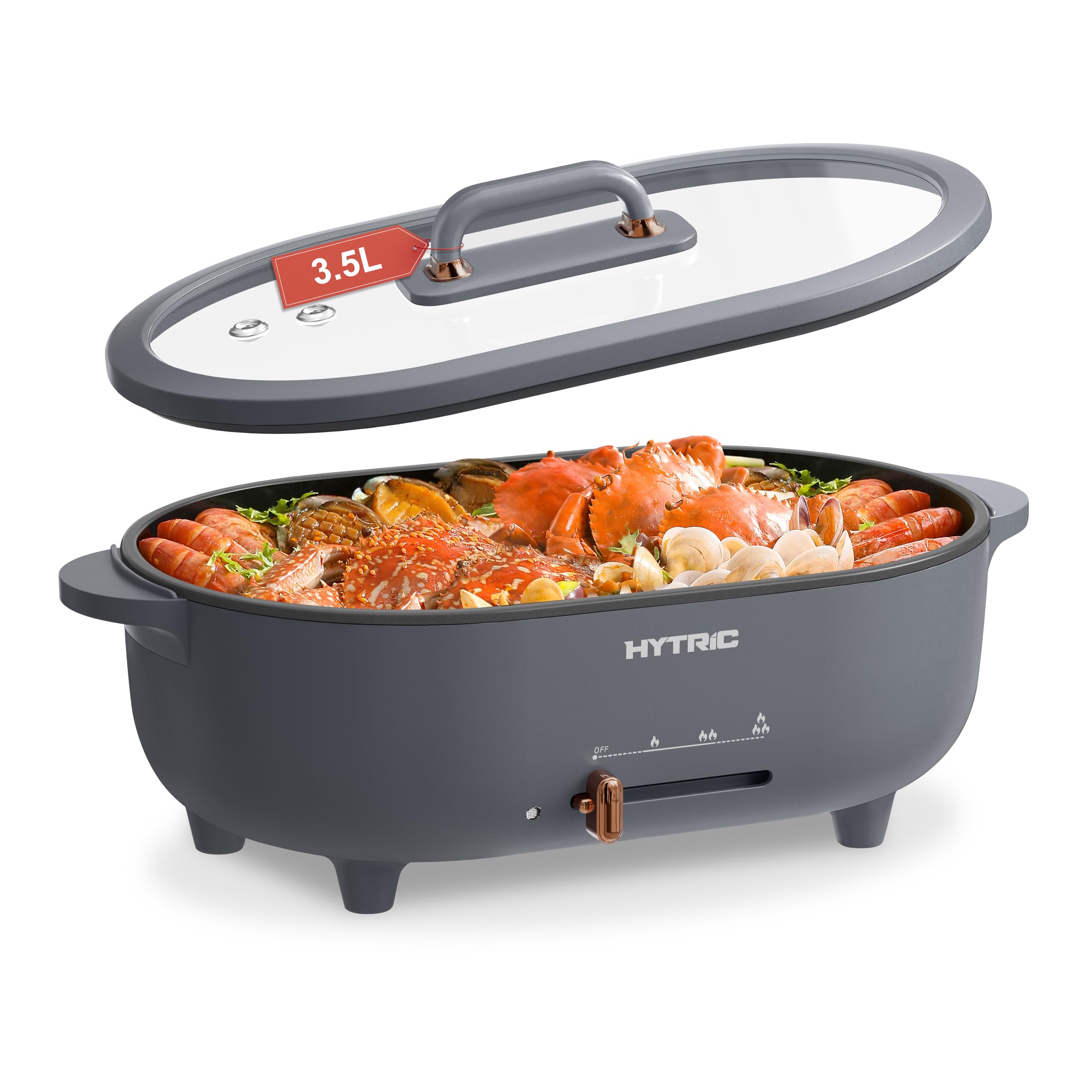 HYTRIC 3.5L Hot Pot Electric for Cooking, 110oz Electric Pot with Nonstick Coating, Multifunction Electric Cooker with Power Control for Shabu Shabu, Noodles, SautƩ, BPA-FREE, Grey
