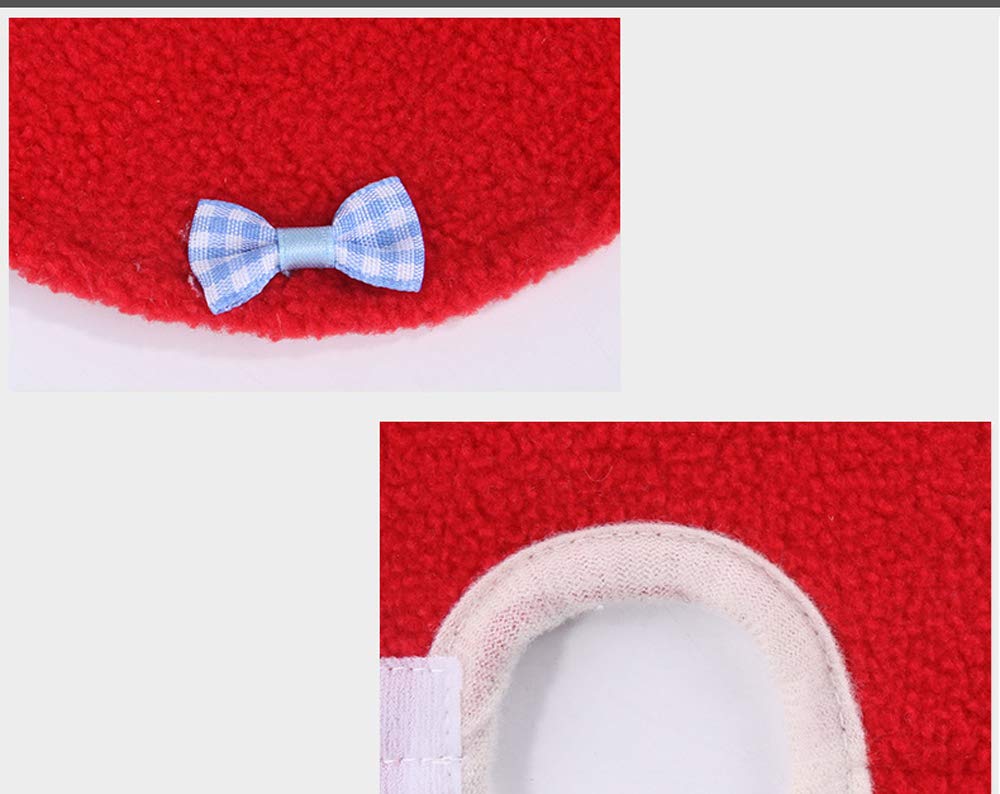 Mummumi Pet Collr, Bird Elizabethan Collar Recovery Anti-Bite Neck Collar for Parrots Budgies Parakeet Cockatiels (L-Red)