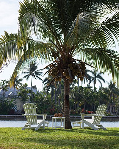POLYWOOD R100WH Presidential Rocking Chair, White & SBT18WH South Beach 18" Outdoor Side Table, White