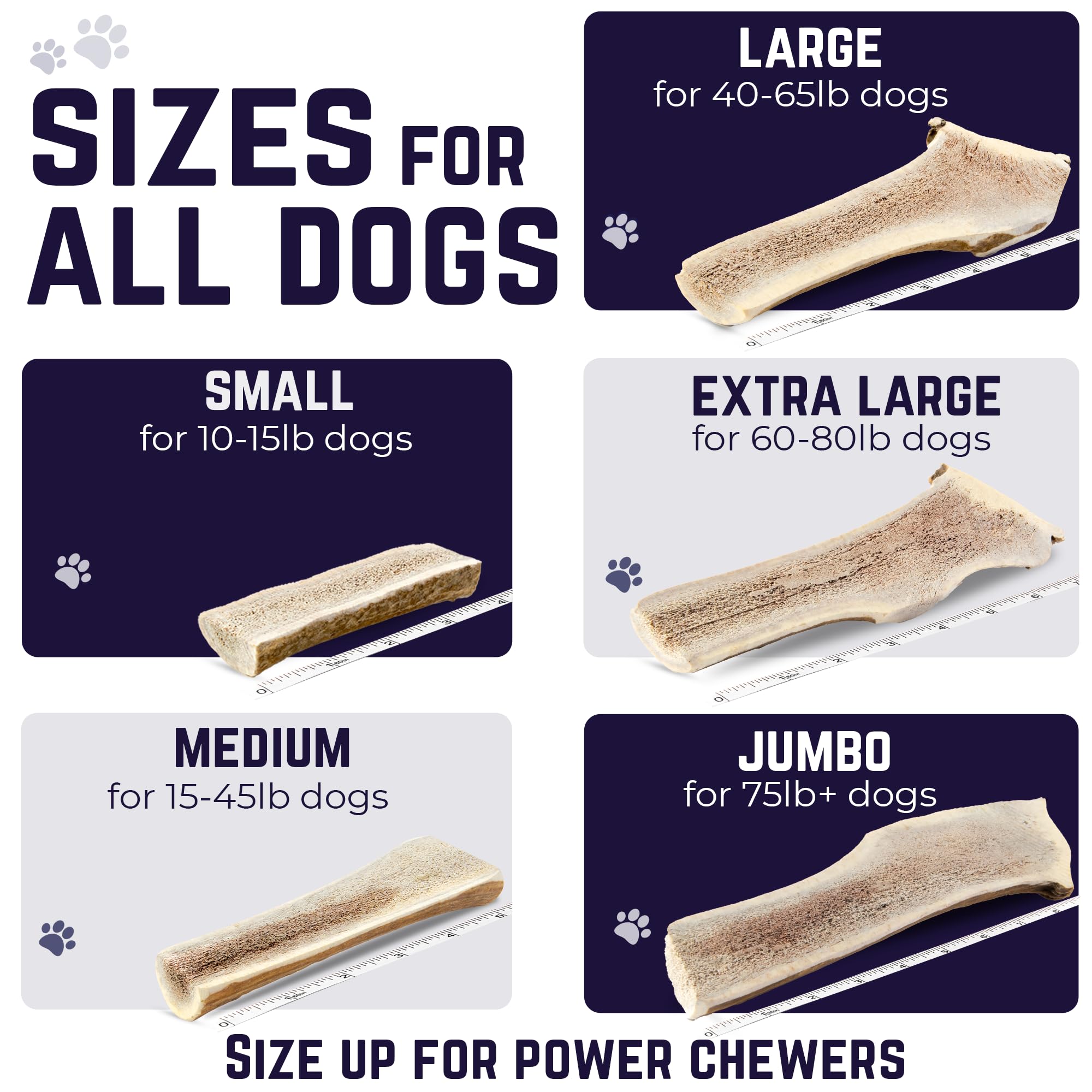 Devil Dog Pet Co. Split Elk Antlers for Dogs, 1 Pack, Medium 5β+, Grade A Long Lasting Dog Bones for Aggressive Chewers, Premium USA Naturally Shed Antler Dog Chew β No Odor, Dog Antler Chews