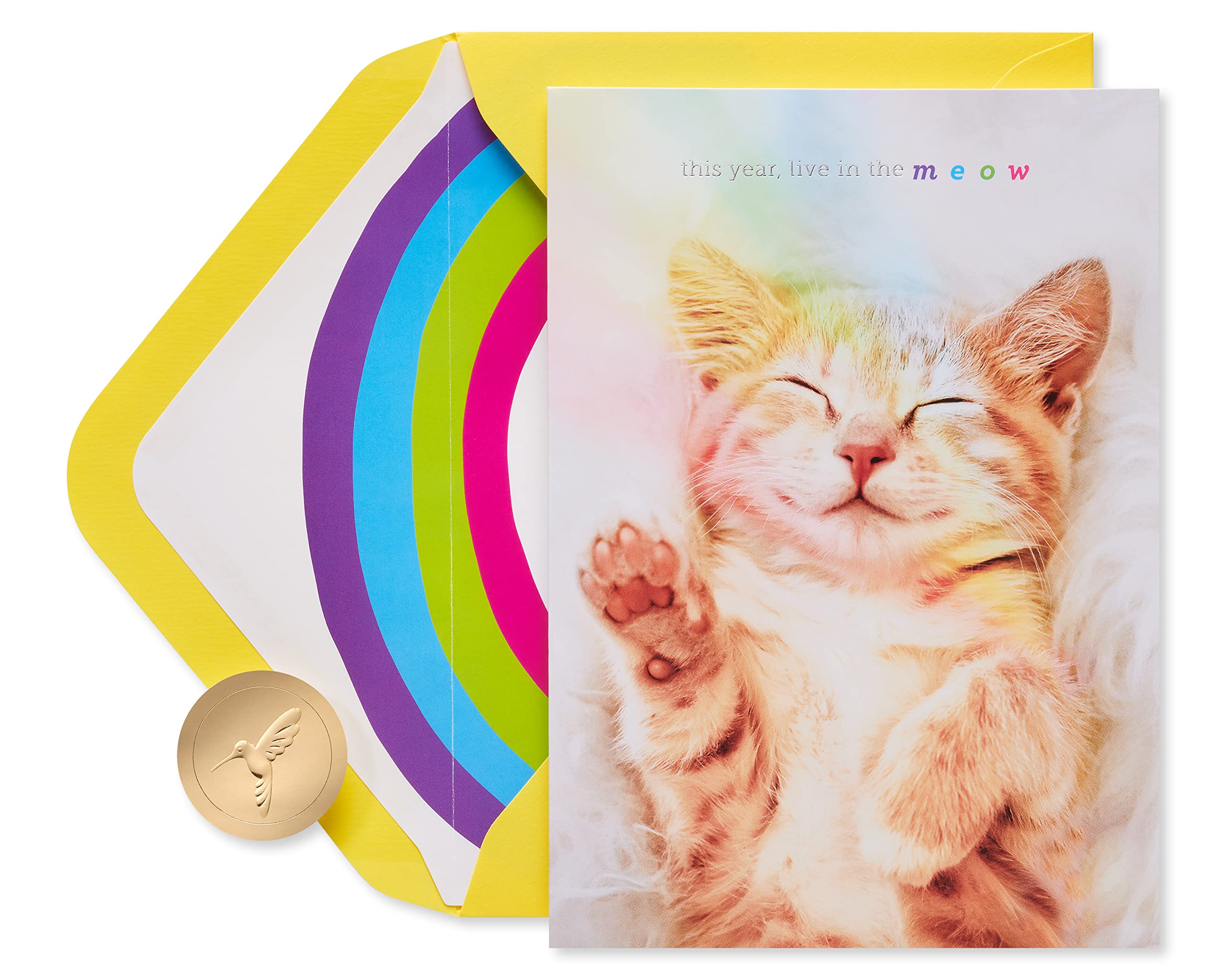 Papyrus Cat Birthday Card (Happy Birthday)