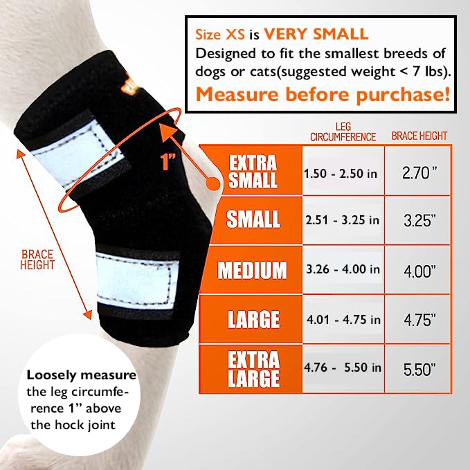 NeoAlly® - Rear Leg Hock Brace with Metal Spring Strips, Dog Leg Brace for Rear Leg, Hock and Ankle Support, Rear Dog Leg Brace for Smaller Dogs, Short Version, Medium, 1 Pair