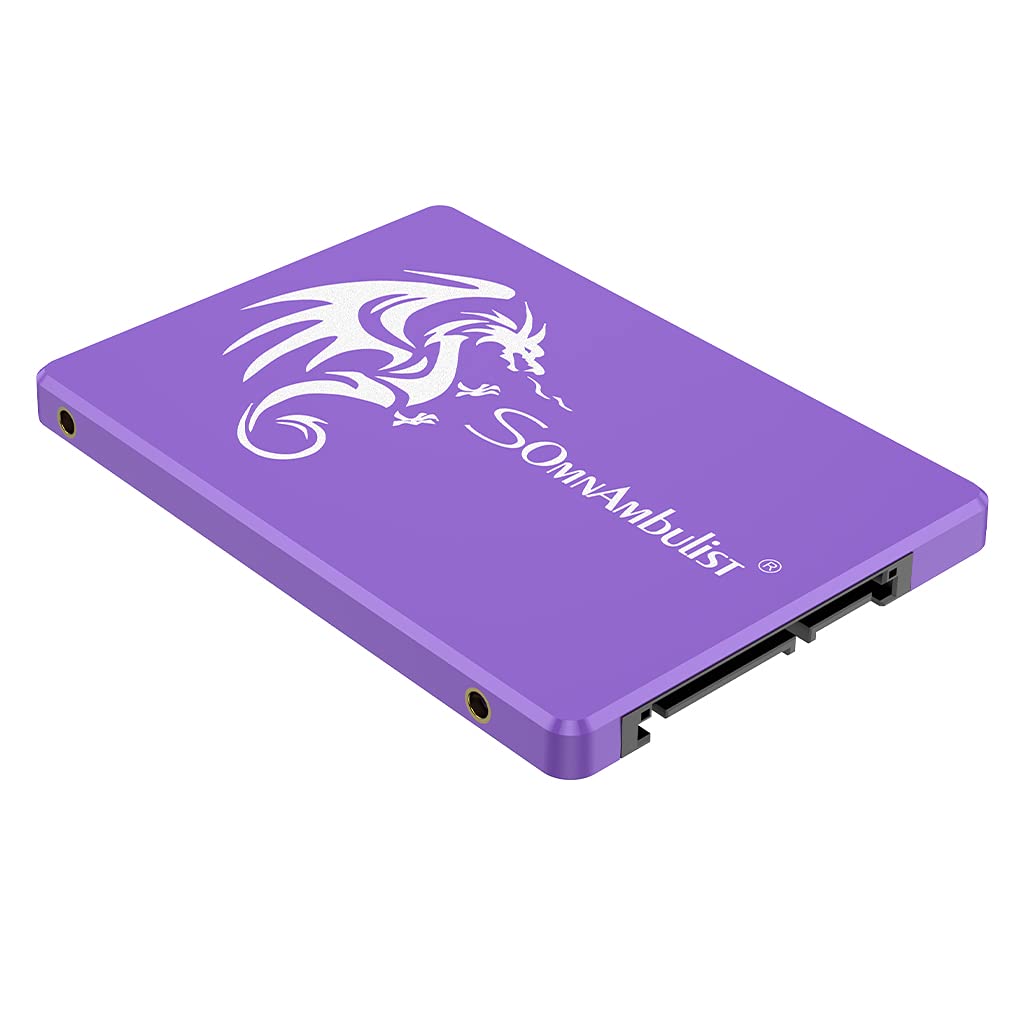 Somnambulist Internal Hard Drive SSD 60GB 120GB 240GB 960GB 2TB SATA3 2.5 inch SSD 480GB SSD (Purple Dragon 240GB)