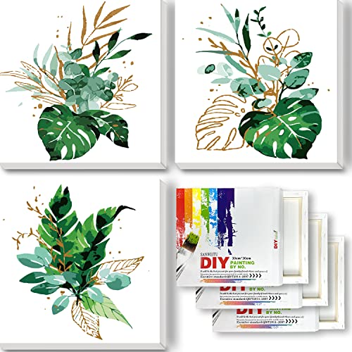 SANWEITU Paint by Number for Adults with Wooden Frame 12×12 inch Paint by Number 3 Packs Green Plants Home Decoration for Beginners with Paints and Brushes