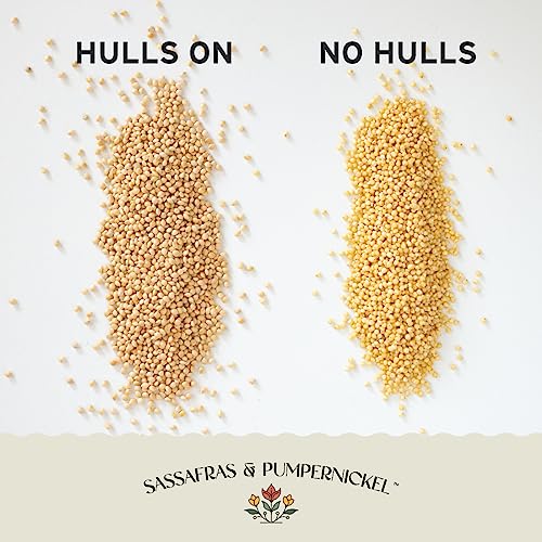 Sassafras & Pumpernickel Organic Millet with Hulls (10 lbs) USA Grown and Packaged, Bulk White Proso Millet for Birds, Hull-on Millet for Added nutrients, Millet Bird Seed for Parakeets, Cockatiels