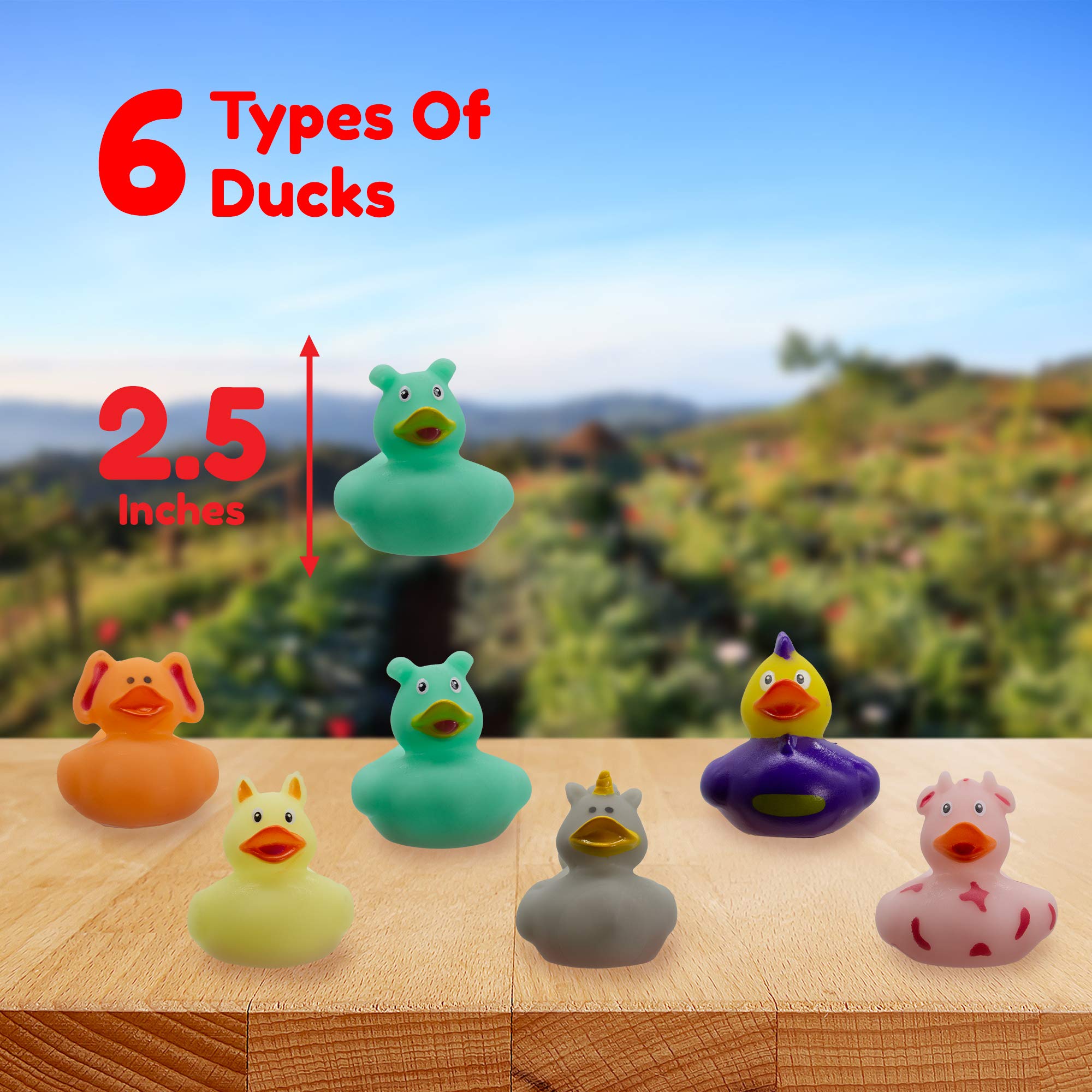 Windy City Novelties - 36 Pack - 2" Assorted Easter Bunny Rubber Duckies | for Easter Holiday Giveaways Kids’ Bath Toys Pool Toys Jeep Ducking