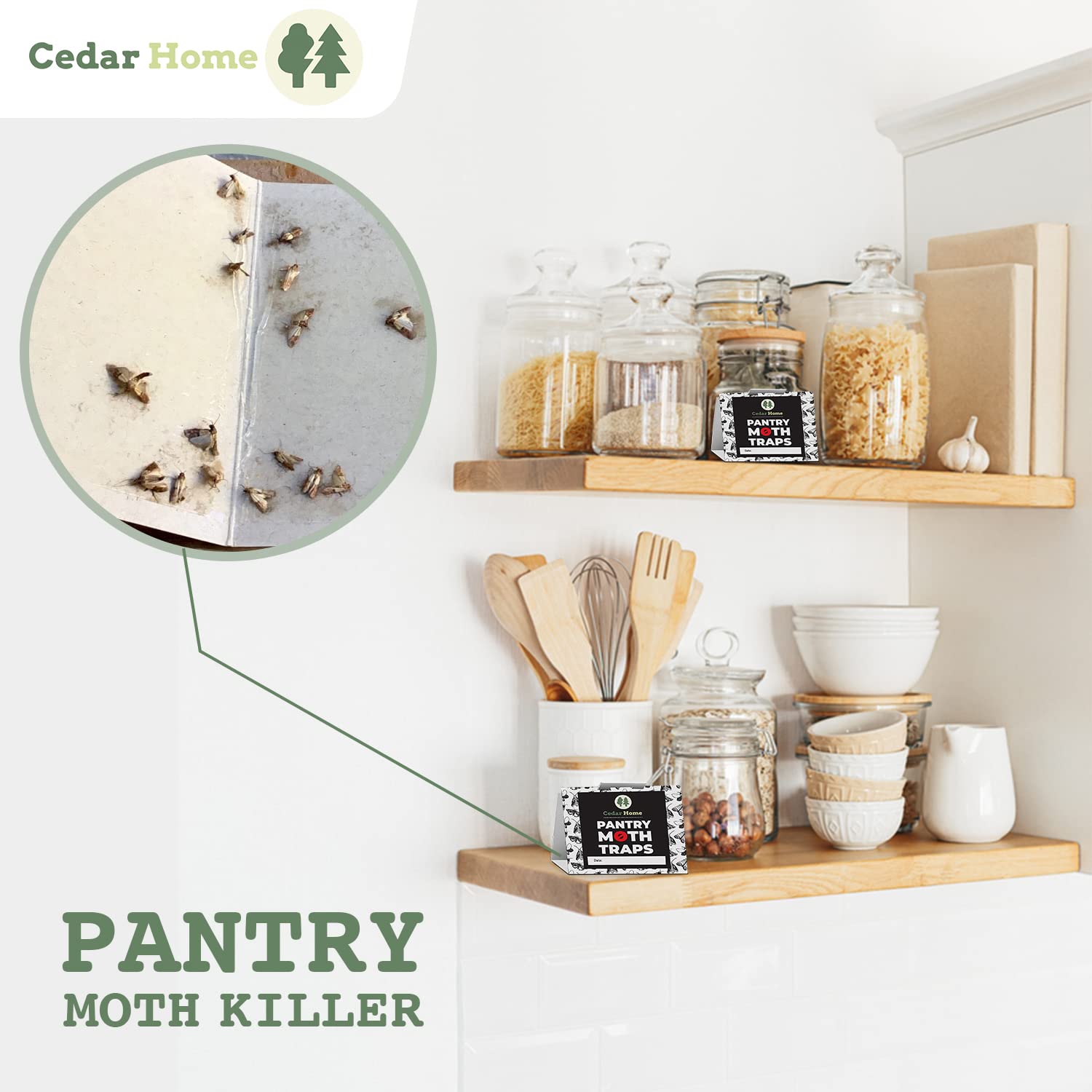 Cedar Hyde Pantry Moth Traps 8-Pack with Pheromones | Long Lasting, Safe, Non-Toxic & No Insecticides | Sticky Glue Pheromone Trap for Kitchen Pantry Moths | U.S.A. Seller