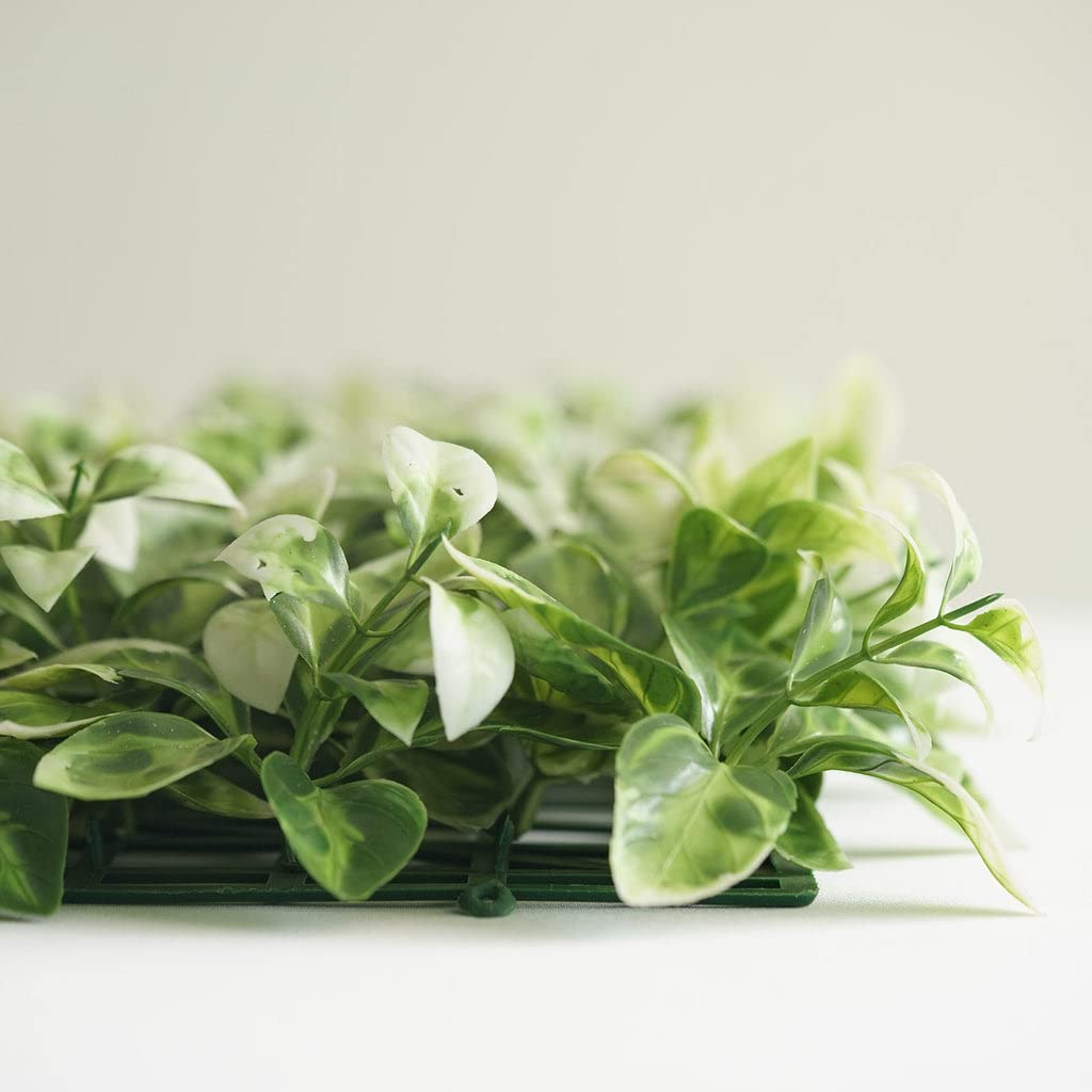Tableclothsfactory 4 Pack Artificial Boxwood Hedge Faux Foliage Green Garden Wall Mat - White/Green Grass Mat Covers 11sq.ft