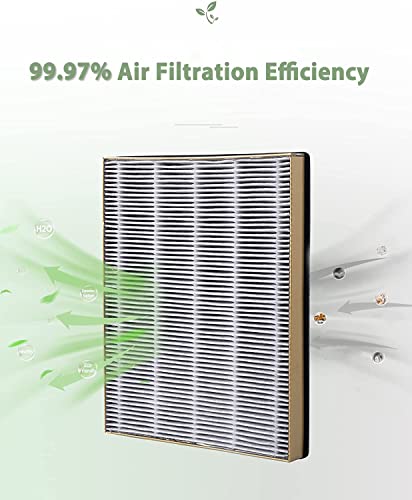 TT-AP002 Filter Replacement for TT-AP002 and VAVA VA-EE008 Air Purifiers, Replace TT-AP001SPF,H13 True HEPA Filter