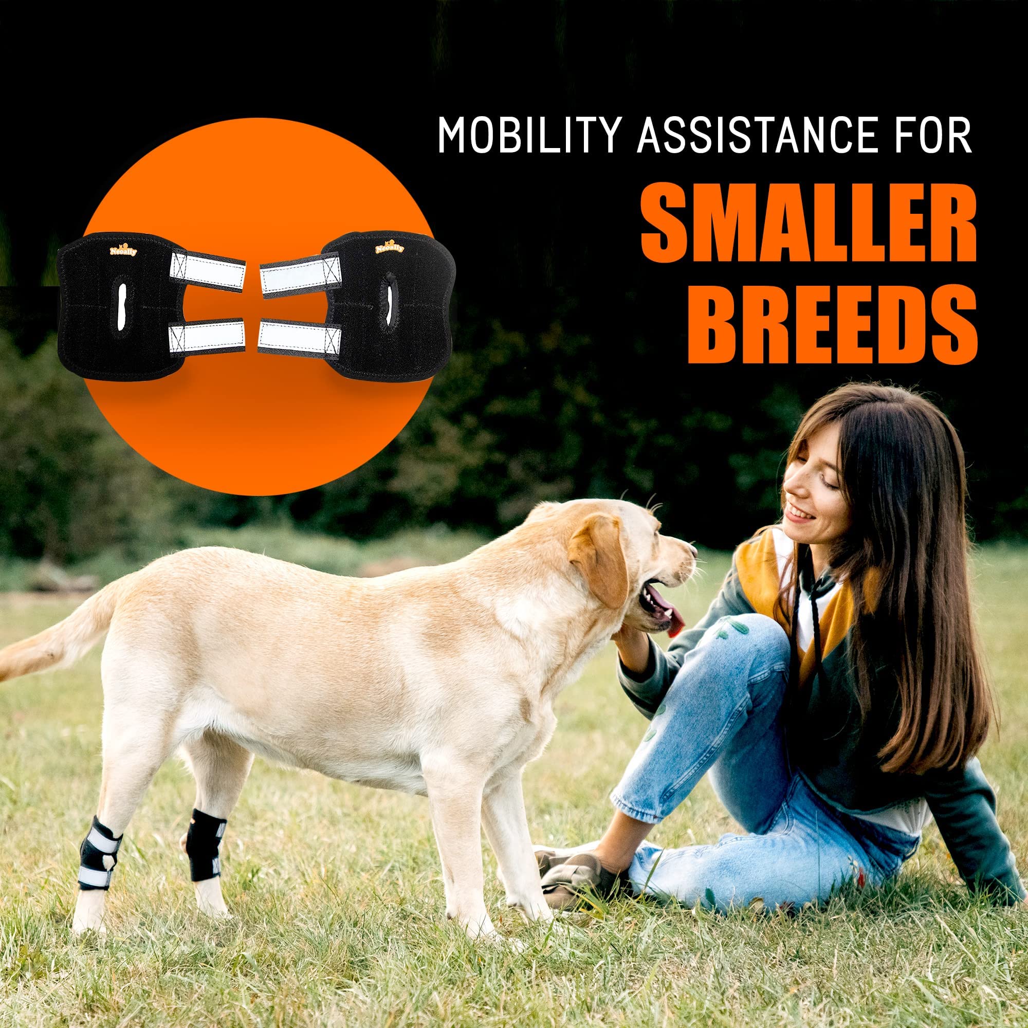 NeoAlly® - Rear Leg Hock Brace with Metal Spring Strips, Dog Leg Brace for Rear Leg, Hock and Ankle Support, Rear Dog Leg Brace for Smaller Dogs, Short Version, Medium, 1 Pair