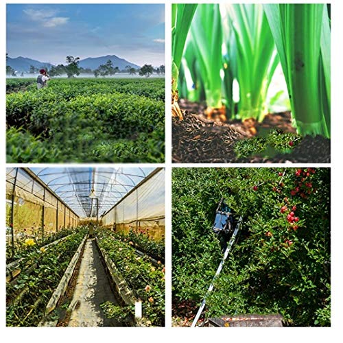GHGHF Soil Fertilizer Nutrient Detector Ph Paramete Conductivity Temperature, Humidity and Sensor Speed Meter (Color : D)