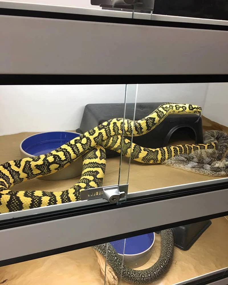 Different Size Reptile Hide Box Snake Hide Feel Secure and Safe Gecko Hide Durable Material Easy to Clean (Large)…, black