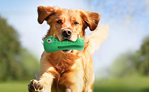 Dog Squeaky Chew Toy, Tough Natural Rubber Durable for Aggressive Chewers, Fun to Chew for Mediuem