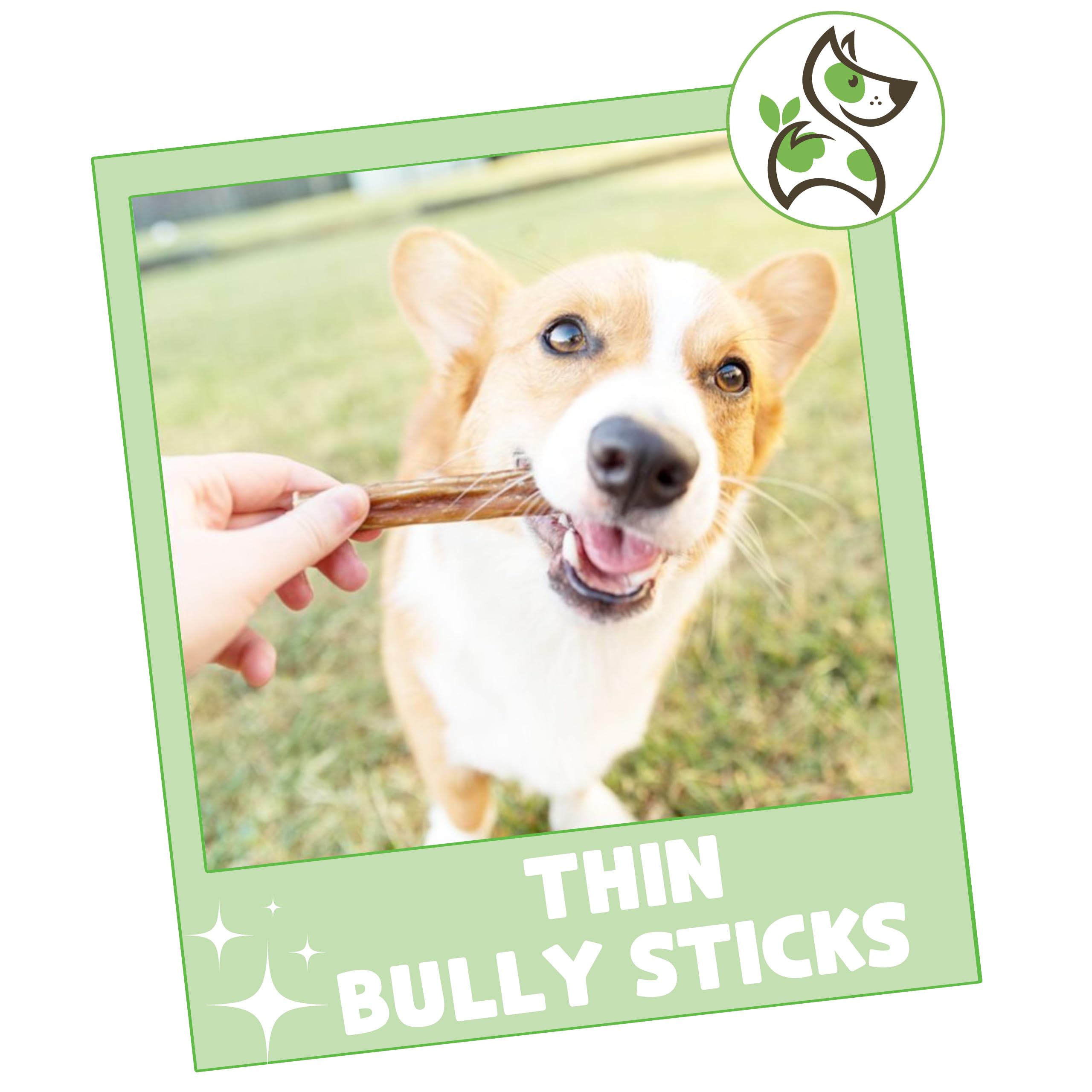 Nature Gnaws Thin Bully Sticks for Dogs 5-6" (1Lb) - Mixed Thickness - Long Lasting for Small Dogs and Puppies - Natural Thin Beef Dog Chew Bones - Rawhide Free