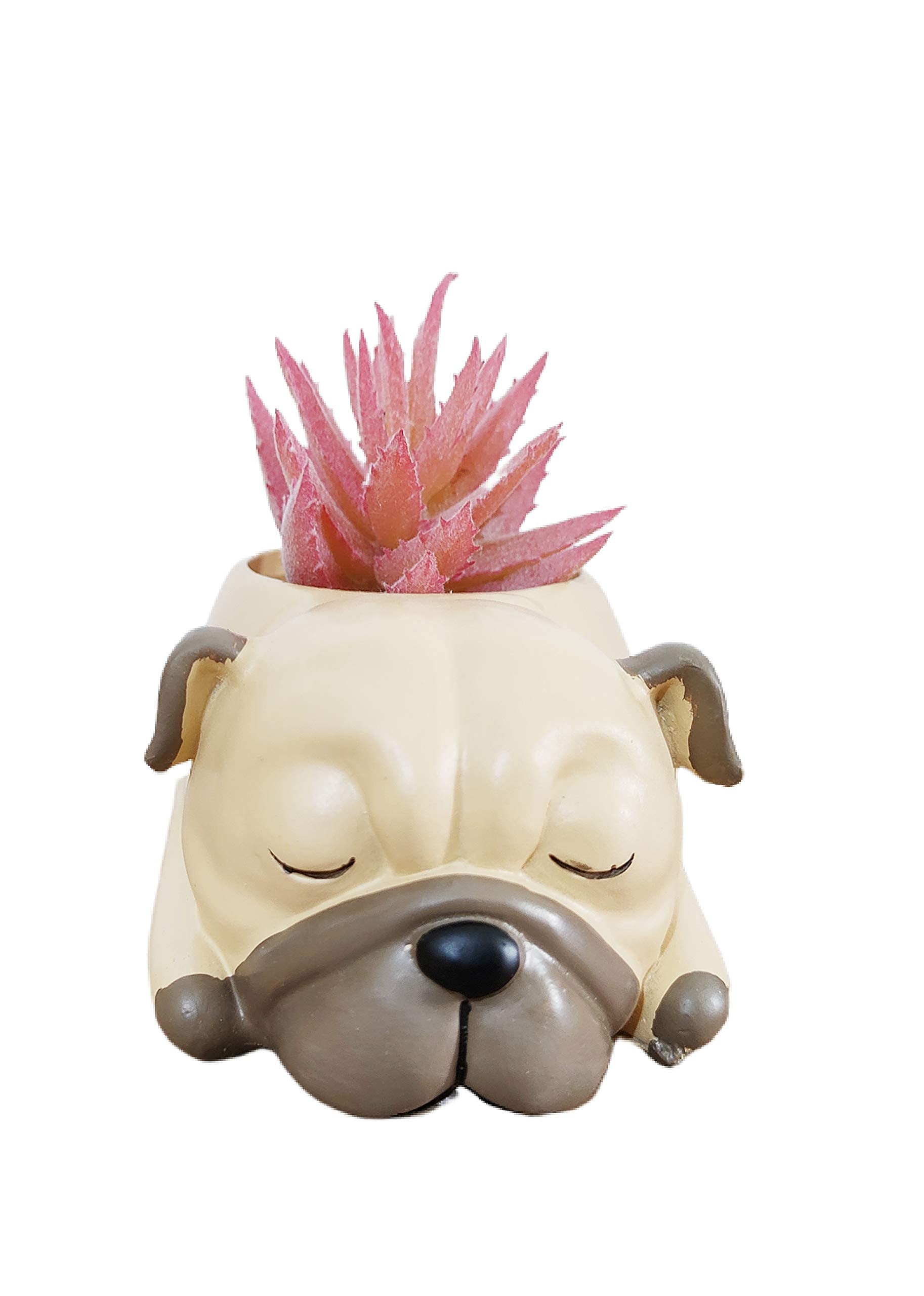 Succulent Pots,Cute Animal Pug Dog Shaped Air Plant Holder Flower Planters-Plants Not in Included