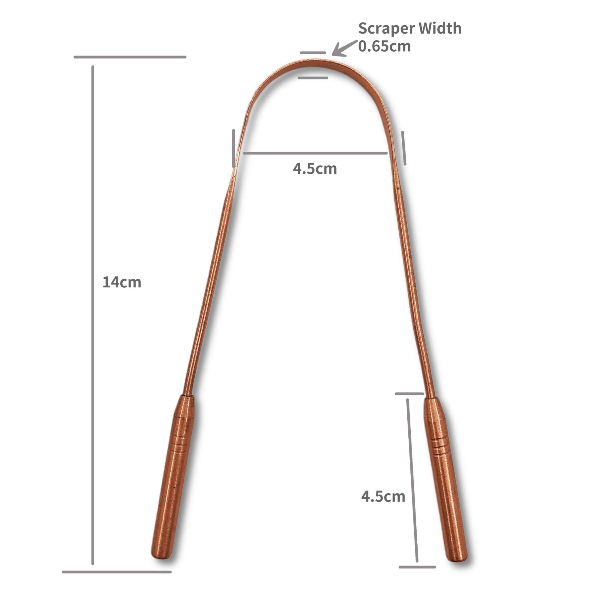 Gaia Guy Plastic-Free Eco Dental Kit - Bamboo and Boar Bristle Toothbrushes, Silk Floss, Travel Case and Copper Tongue Scraper