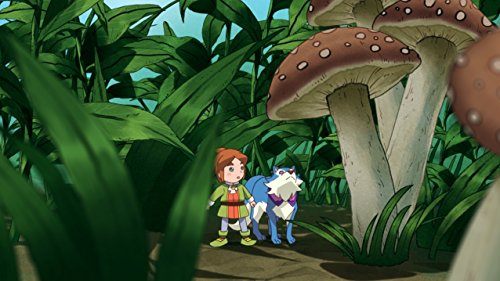 Popolocrois farm