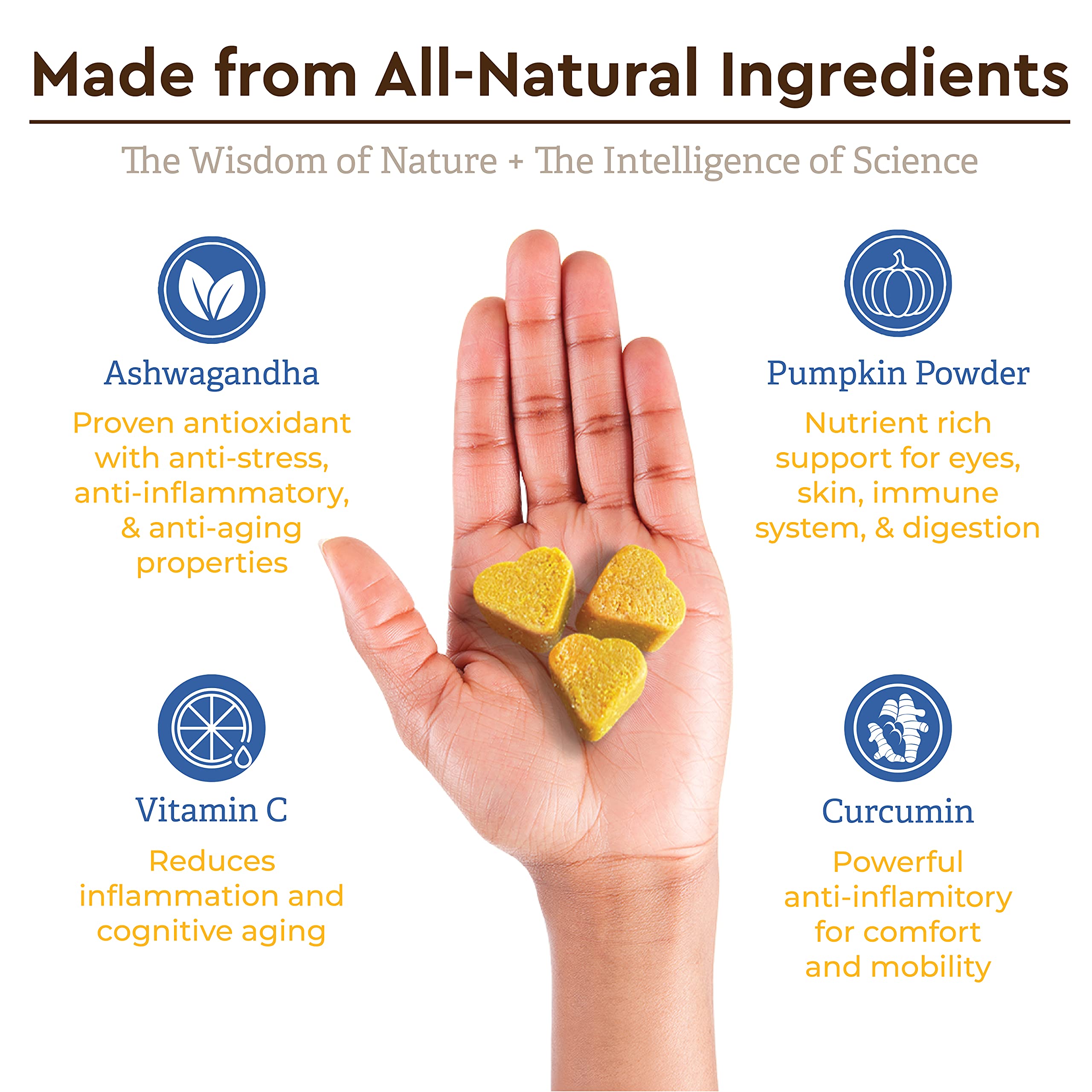 Super Multi-Vitamin Chew with Ashwagandha. Multivitamin for Joint, Skin, Gut, Brain, Bone, Heart & Immune Health - All Natural Ashwagandha, Curcumin, Pumpkin Powder & Vitamin C (90 Chews).