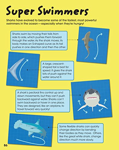 Shark Facts & Activity Book For Kids 5-9: Activities and Information on Hammerhead, Tiger, Great White, Whale Sharks and more with Coloring, Mazes, Experiments (Gold Stars Series)