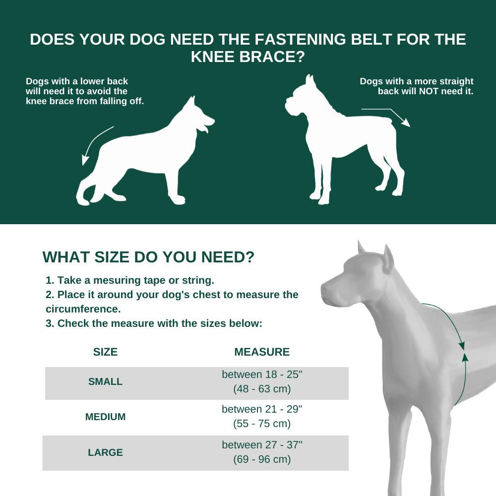 Ortocanis - Knee Brace for Dogs with Ligament Rupture and Patella Luxation, Size XXS, Left Leg