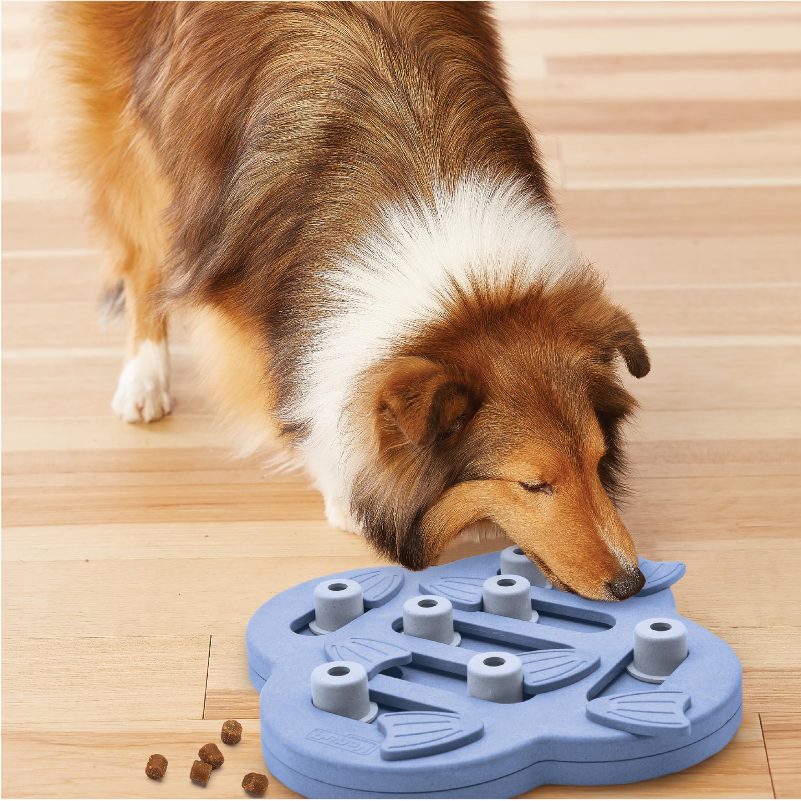 Outward Hound by Nina Ottosson Dog Hide N' Slide Treat Puzzle Enrichment Toy, Level 2 Intermediate, Purple, Composite