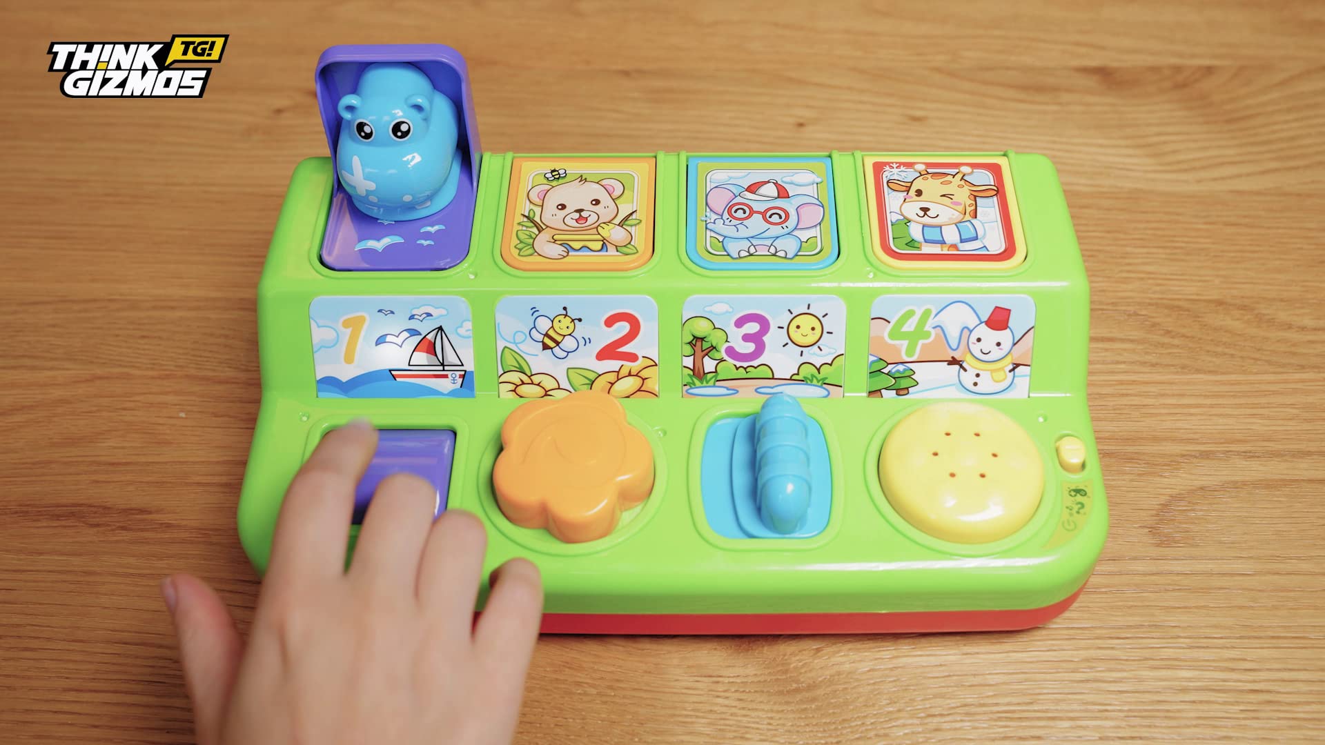 Think Gizmos Interactive Activity Pop-Up Toy for Toddlers Ages 1,2,3 β Peek-a-Boo Toy with Lights, Sounds & Music β Cute Animal Learning Game