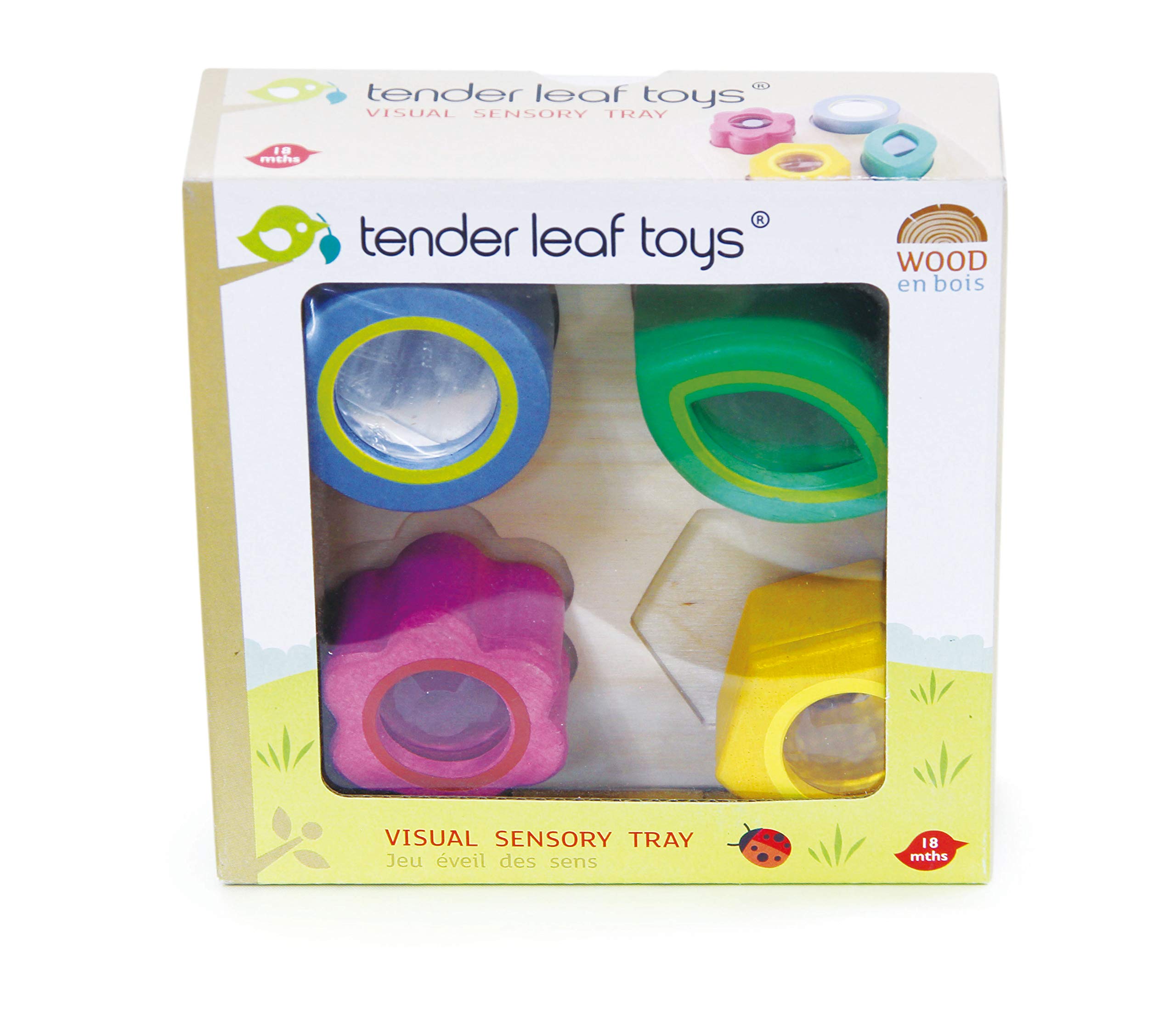 Tender Leaf Toys - Sensory Trays - Baby Blocks, Shape Sorter, STEM Learning Shape Identification Sorting Game Toy for Kids 18 Month + (Visual Sensory Trays)