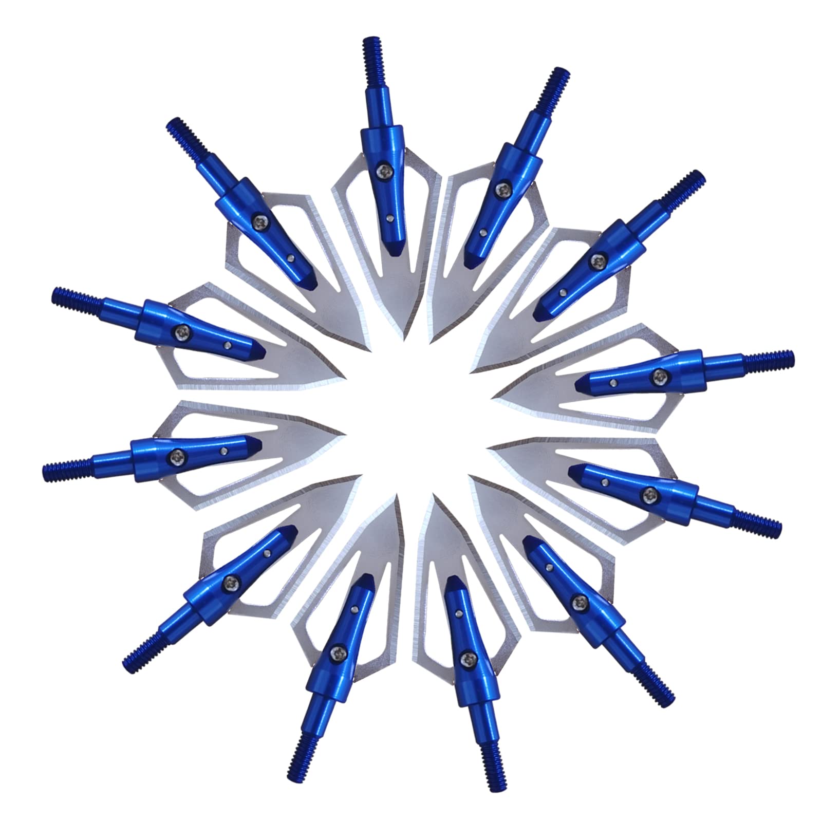 e5e10 Steel Flat Broadheads with 2 Blades 100 Grain Hunting Arrow Tips Screw Thread 0.9" Cut Archery Arrowheads + 1 pcs Black Broadhead Case Plastic Portable Case for Arrowheads (12pcs) (Blue)